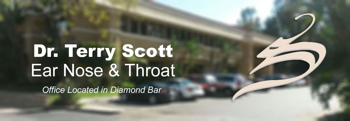 Dr. Terry Scott - ENT